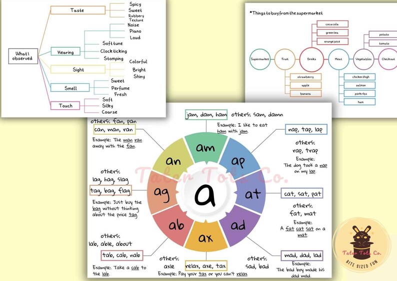 Color Mind Map Templates: Enhance Classroom Note-taking and ...