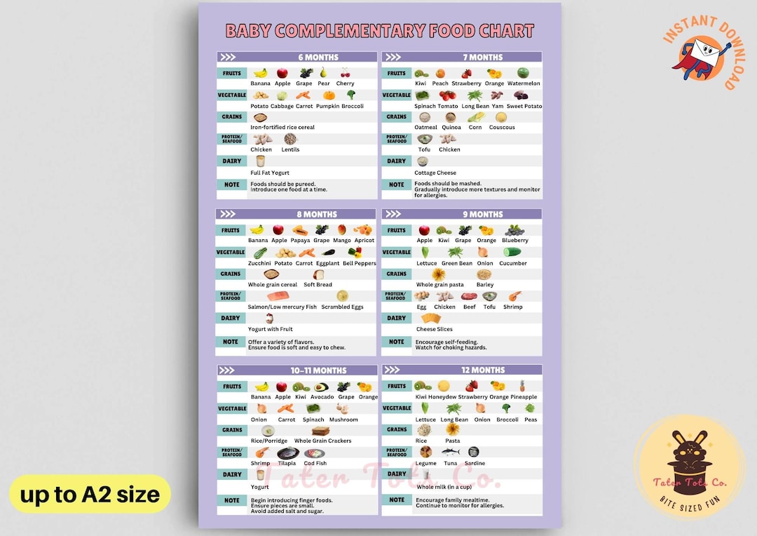Baby Complementary Food Introduction Chart Feeding Guide for 6-12 ...