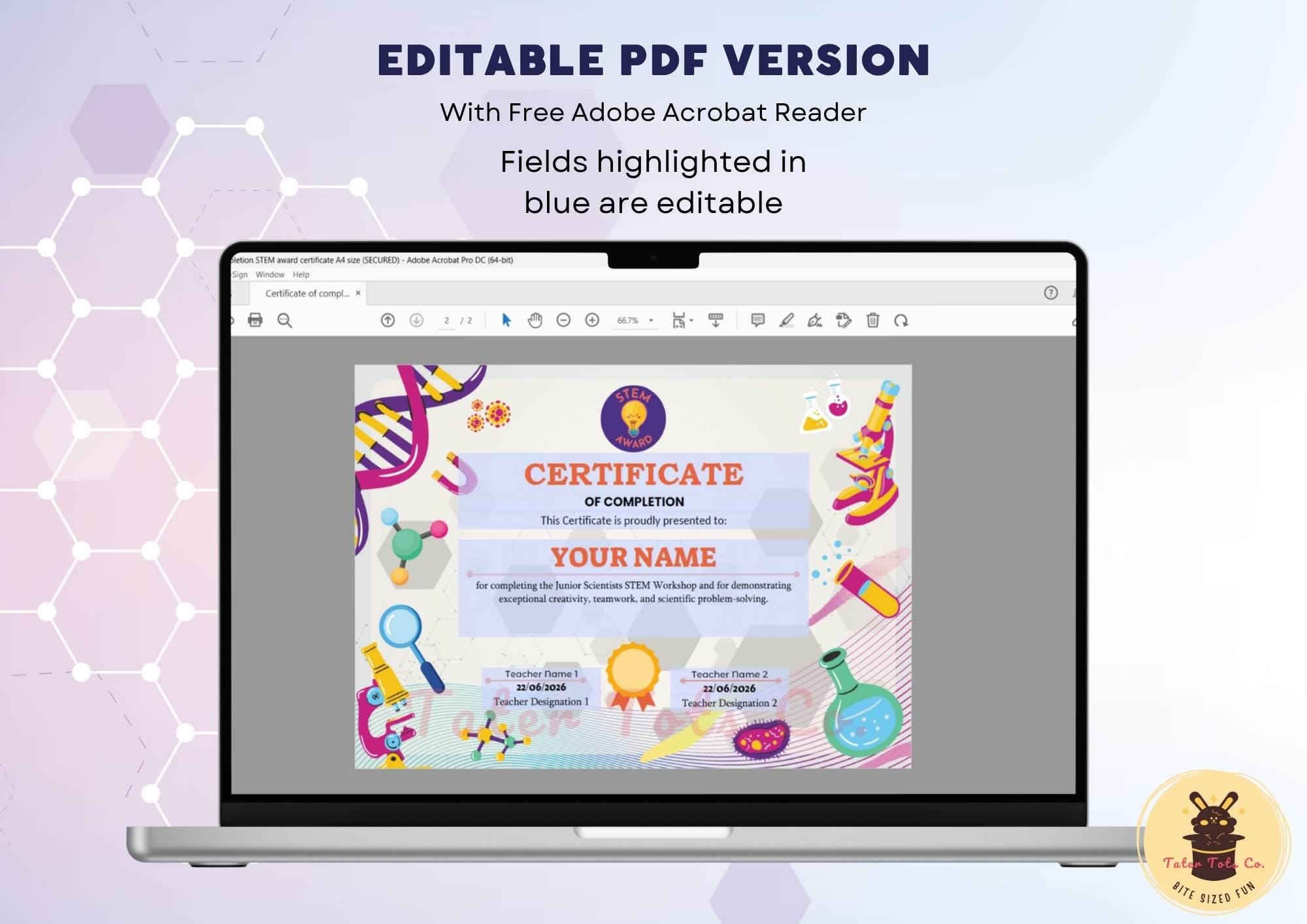 STEM Award Certificate Template: Printable Science Achievement for Kids ...