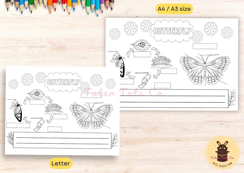 Butterfly Lifecycle DIY Write and Color Poster - Engaging Preschool ...