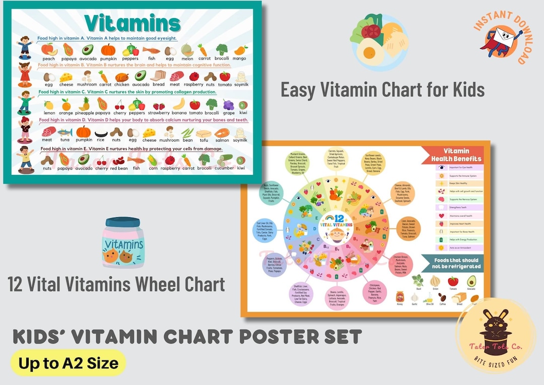 12 Vital Vitamins Wheel Chart and Easy Benefits Bundle for Kids: A ...