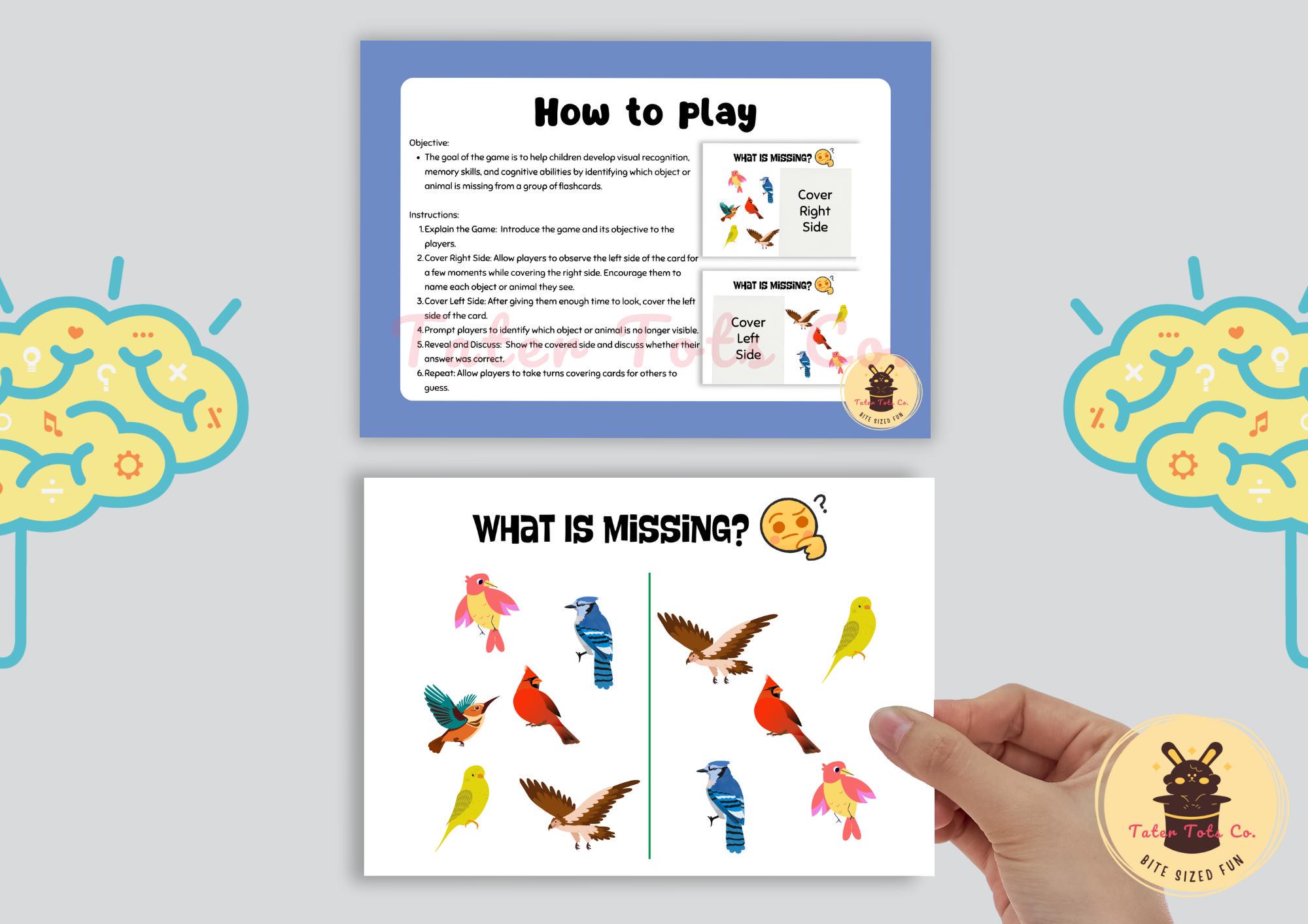 Visual Training Flashcards What/who is Missing? Spot the Difference ...