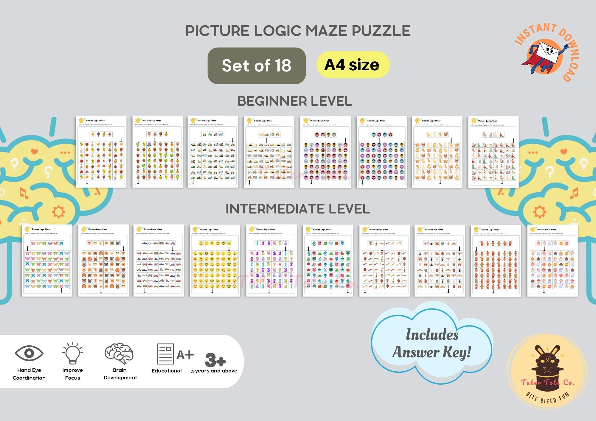 Picture Logic Maze Puzzle Beginner to Intermediate Set of 18 Engaging ...