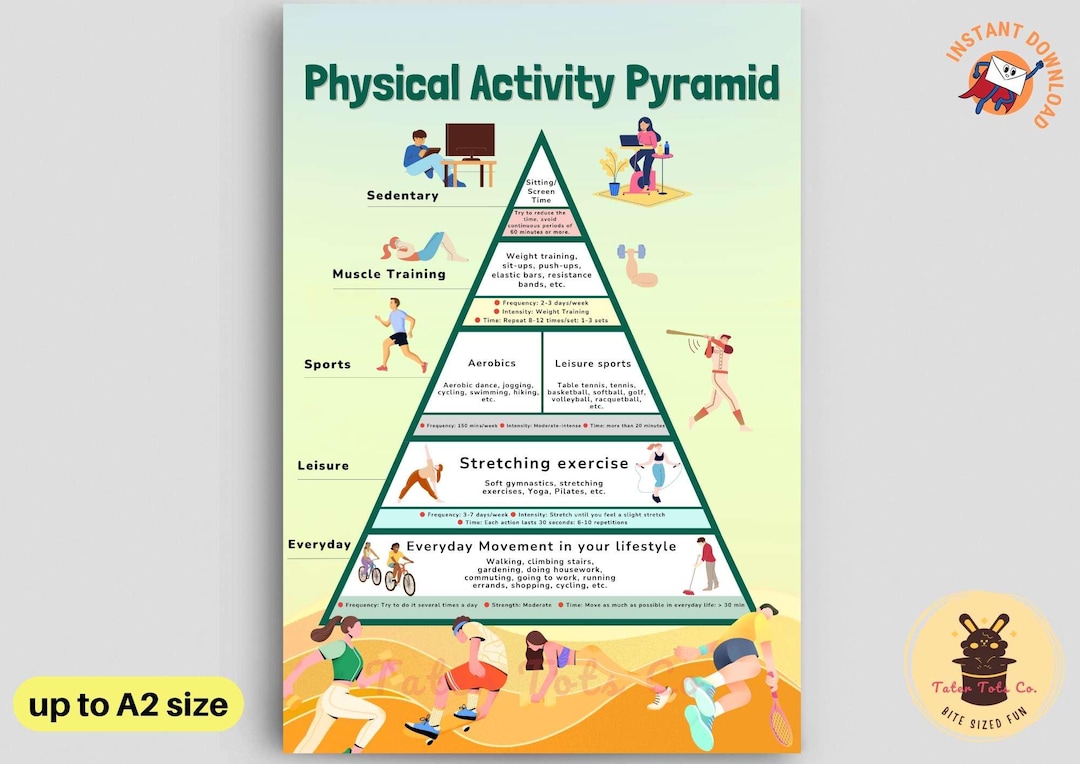 Physical Activity Pyramid for Adults Movement and Sports Fitness ...