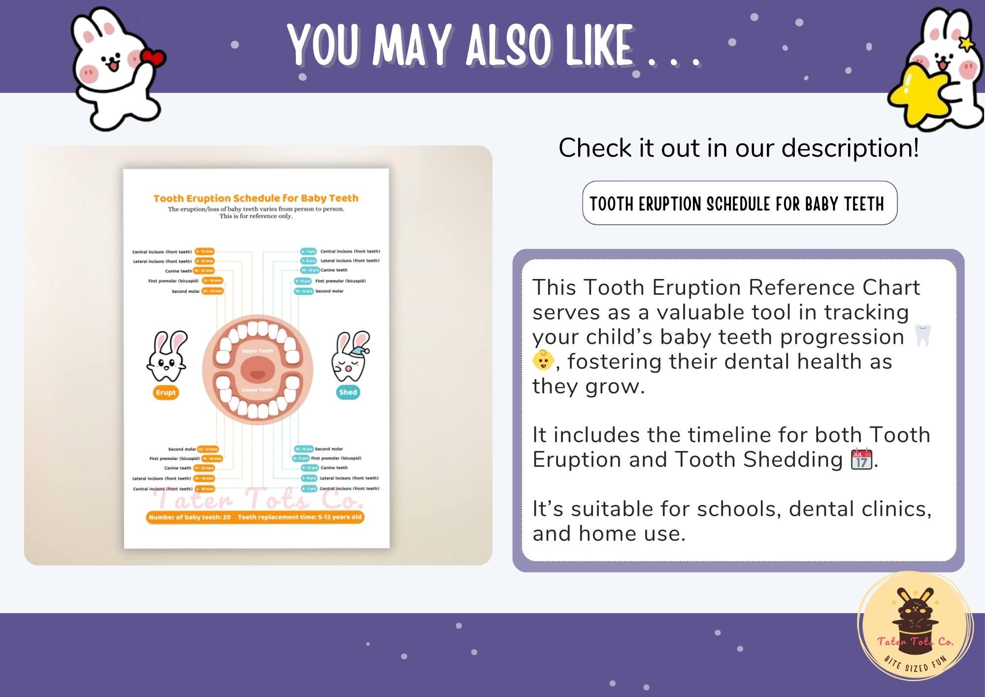 Permanent Tooth Eruption Schedule Reference Chart Landscape Version ...