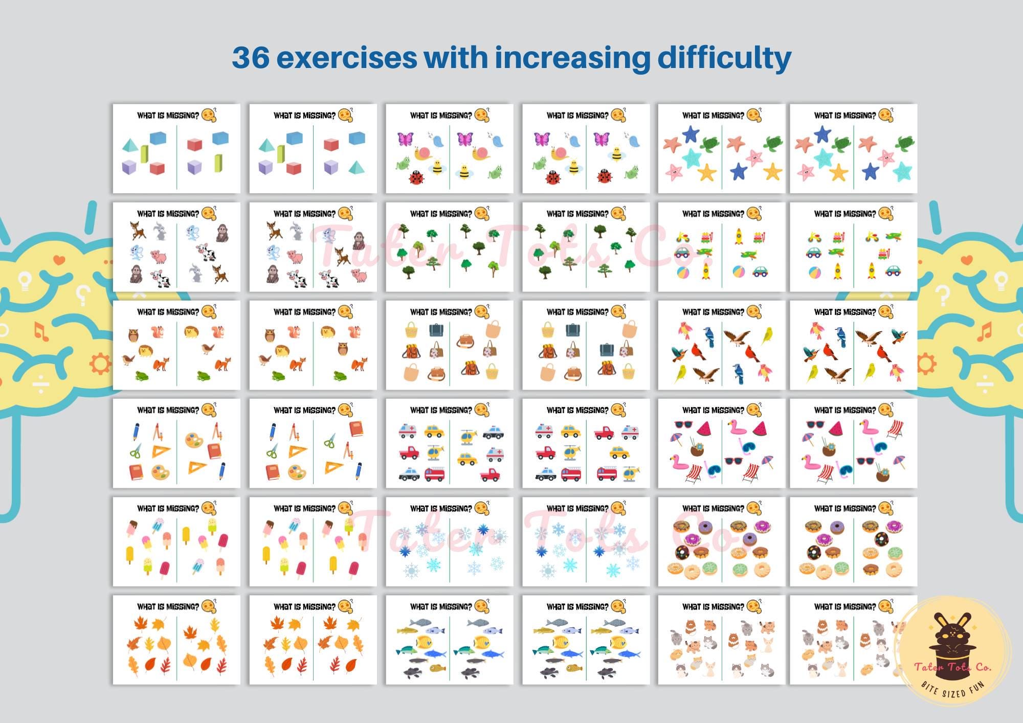 Visual Training Flashcards What/who is Missing? Spot the Difference ...