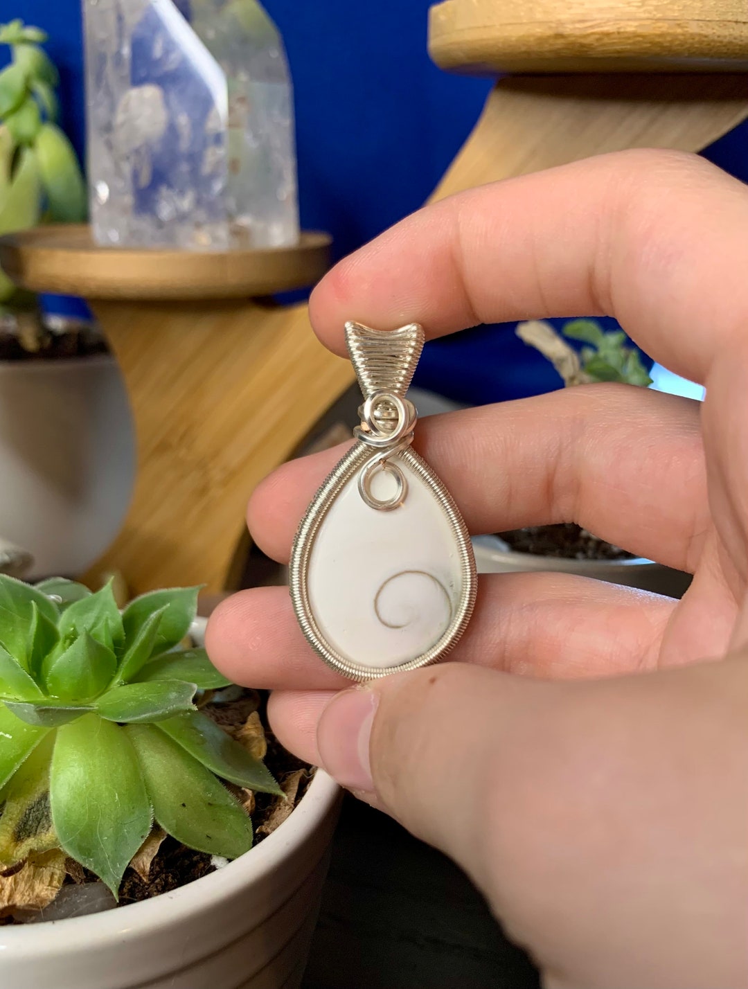 2 Extra Large Shiva Eye Shell Fossil-evil Eye-homemade Wire Wrapped ...