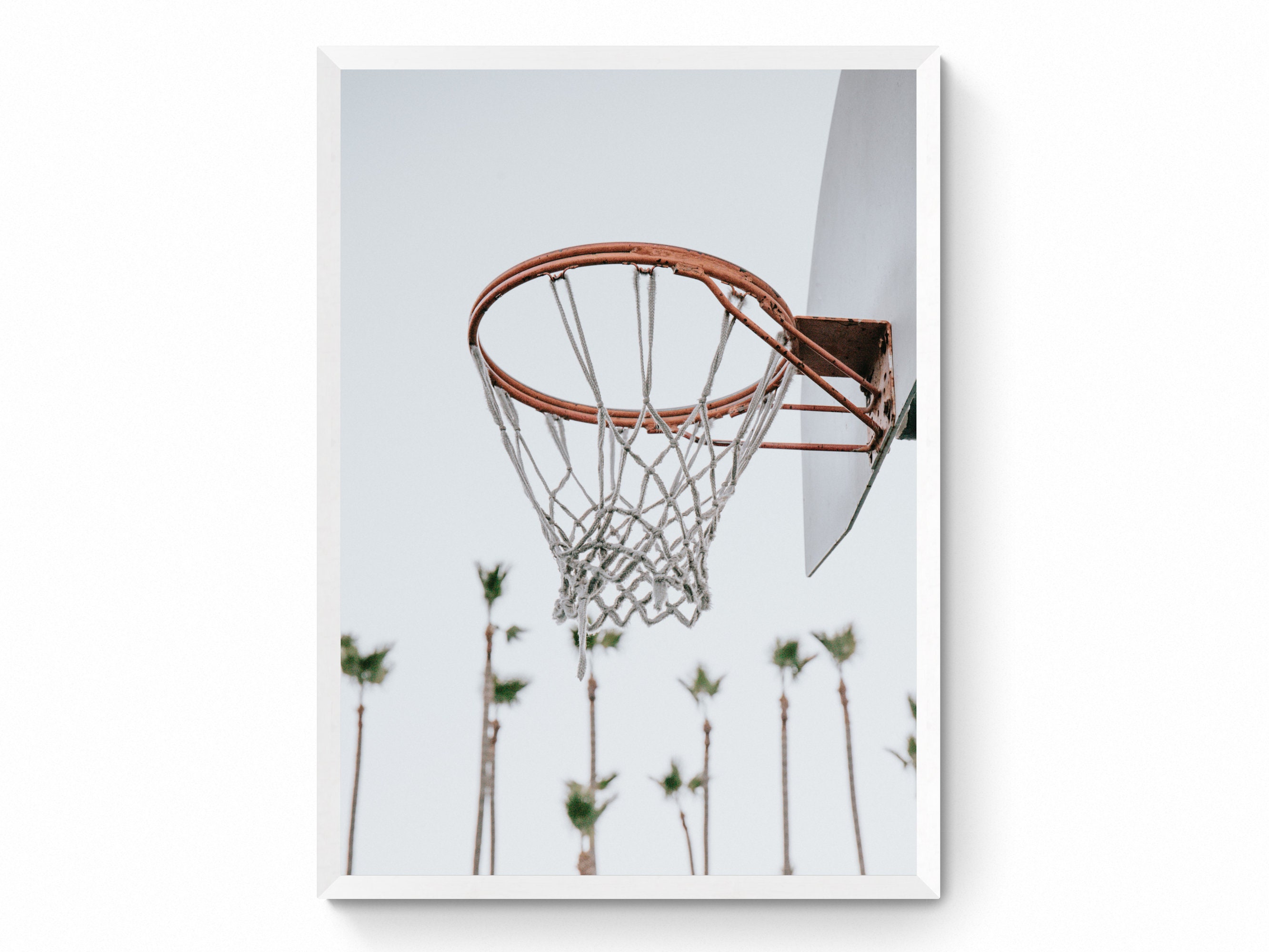 Basketball Hoop With Palm Trees, Fine Art Photo Print, Venice Beach ...