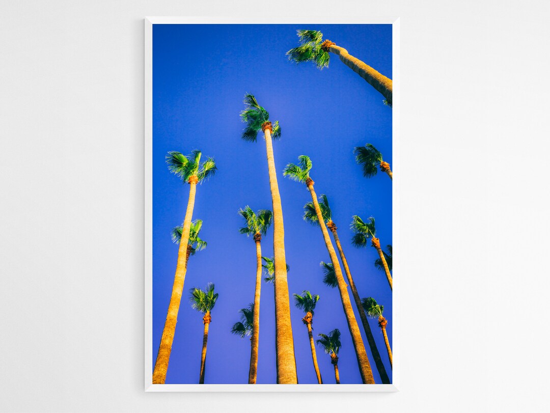 Palm Trees Printable, Beach Coastal Tree Photo, Boho Palm Print, Modern ...