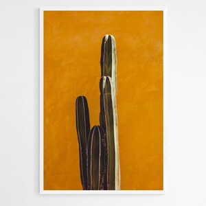 Cactus Wall Art Southwestern Decor Cactus Prints Minimal | Etsy