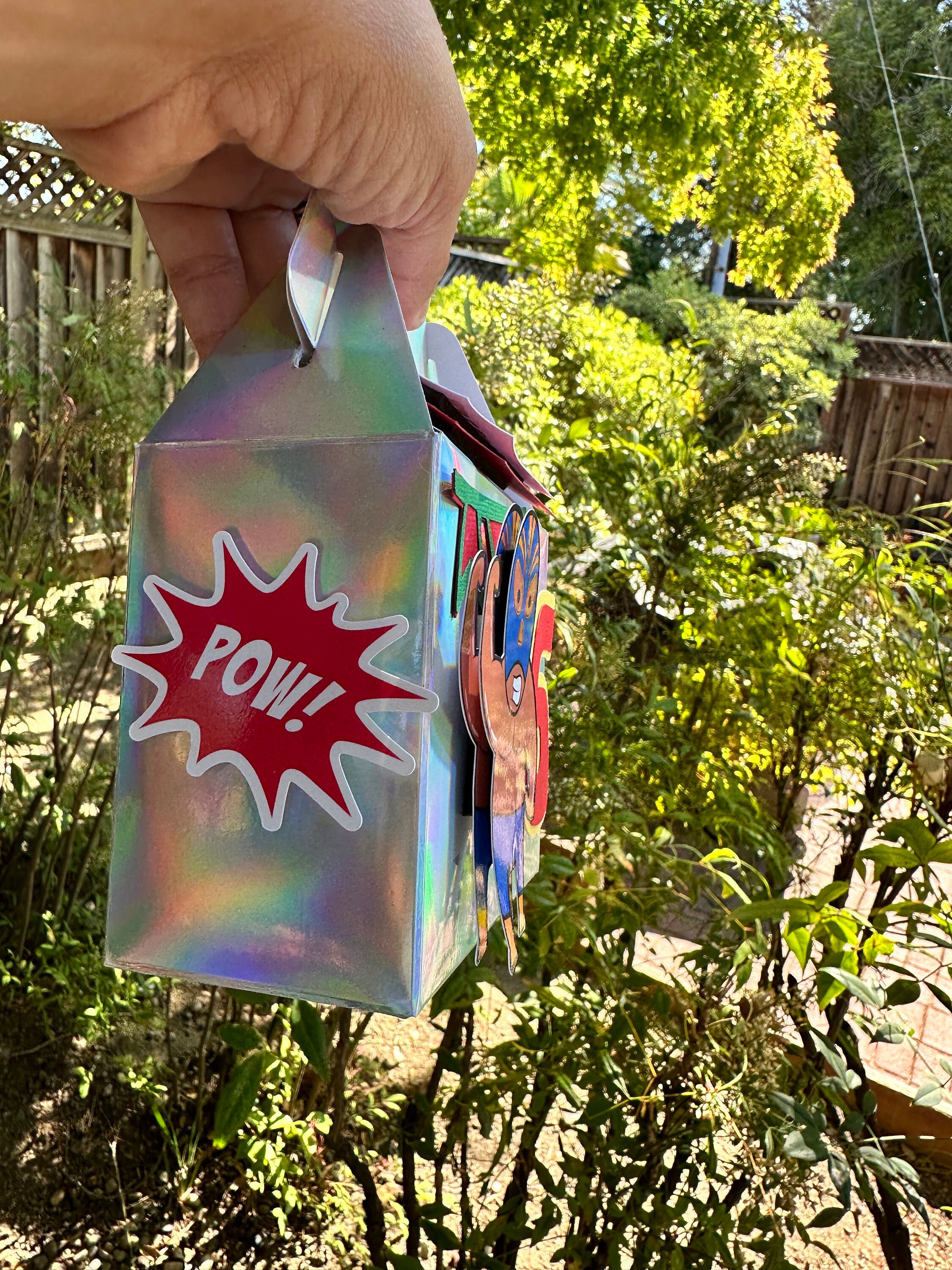 Lucha Libre Luchador Mexican Wrestler Themed Party Favor 6 BOXES Gable ...