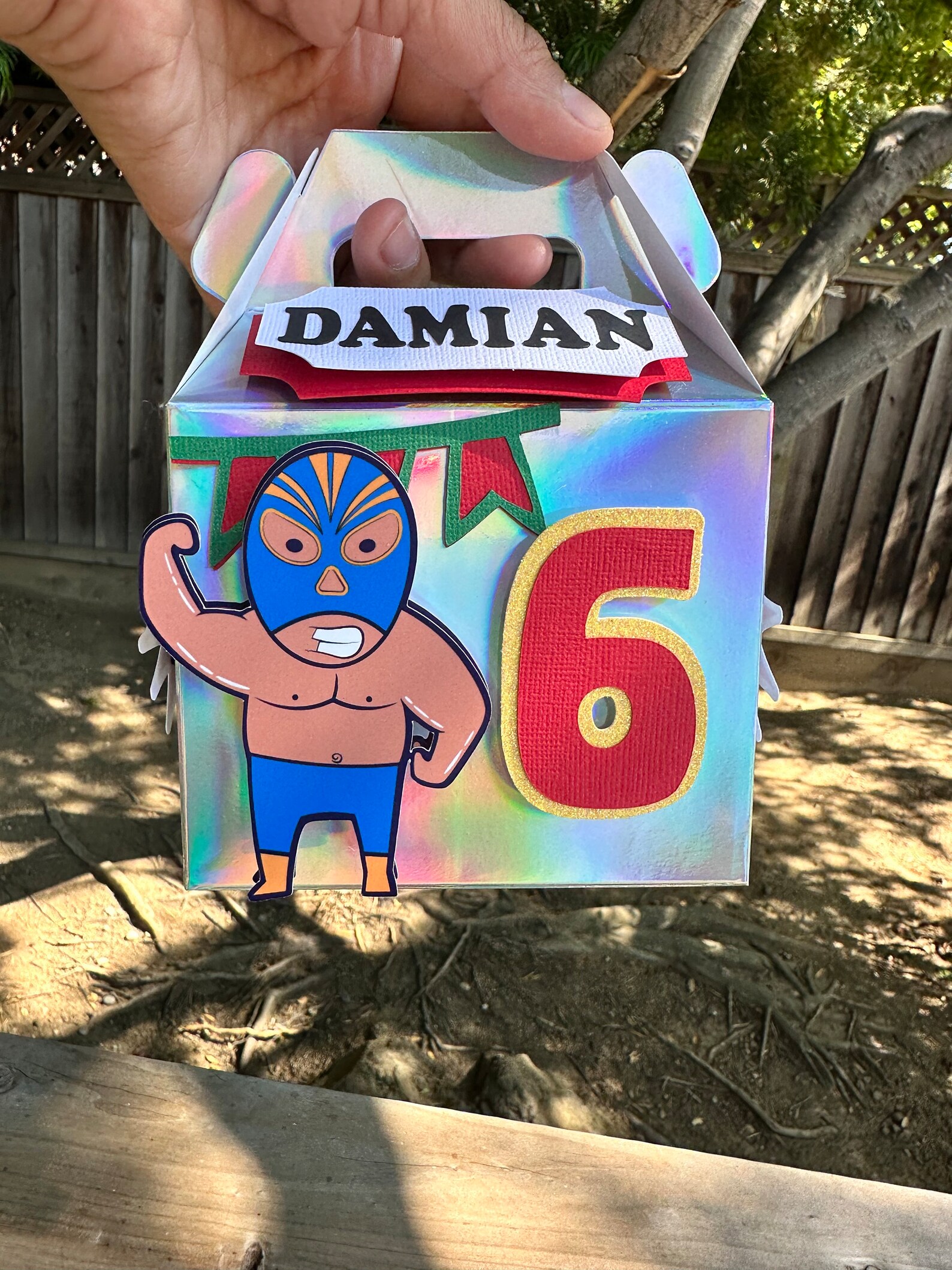 Lucha Libre Luchador Mexican Wrestler Themed Party Favor 6 BOXES Gable ...