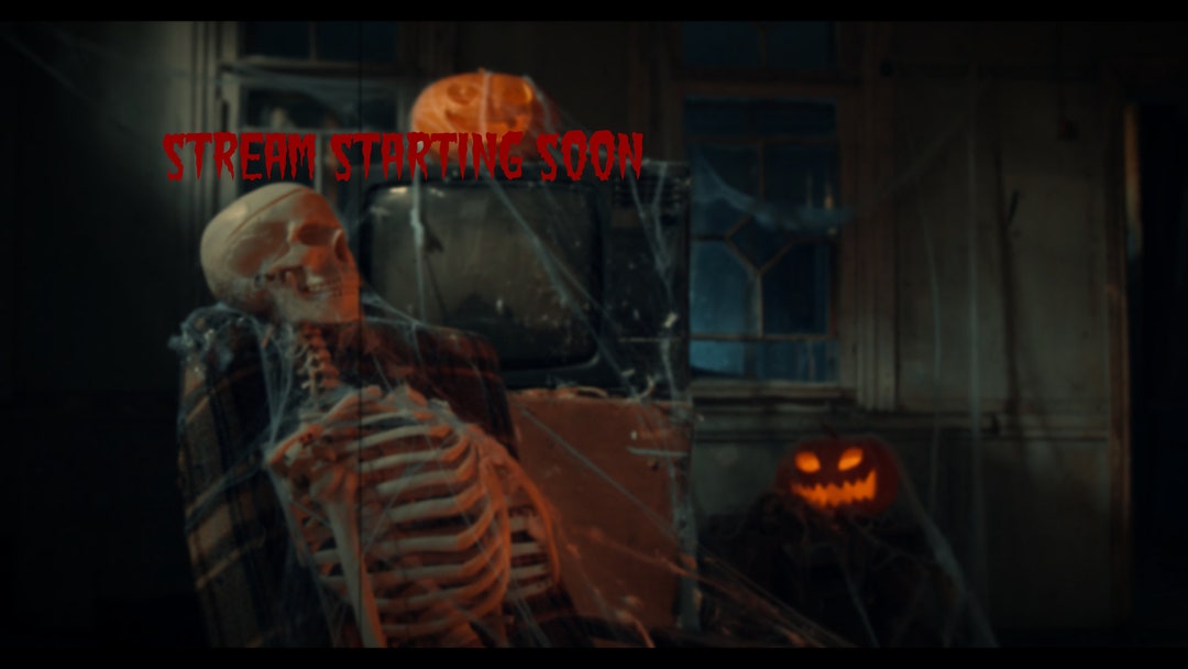 Animated Stream Starting Soon Screen - Etsy