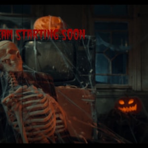 Animated Stream Starting Soon Screen - Etsy