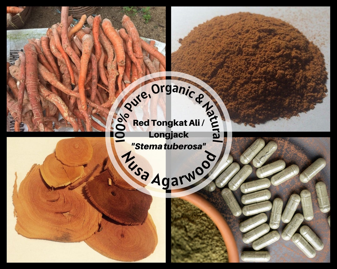 RED TONGKAT ALI Root/slice/powder Pasak Bumi Longjack Stema Tuberosa ...