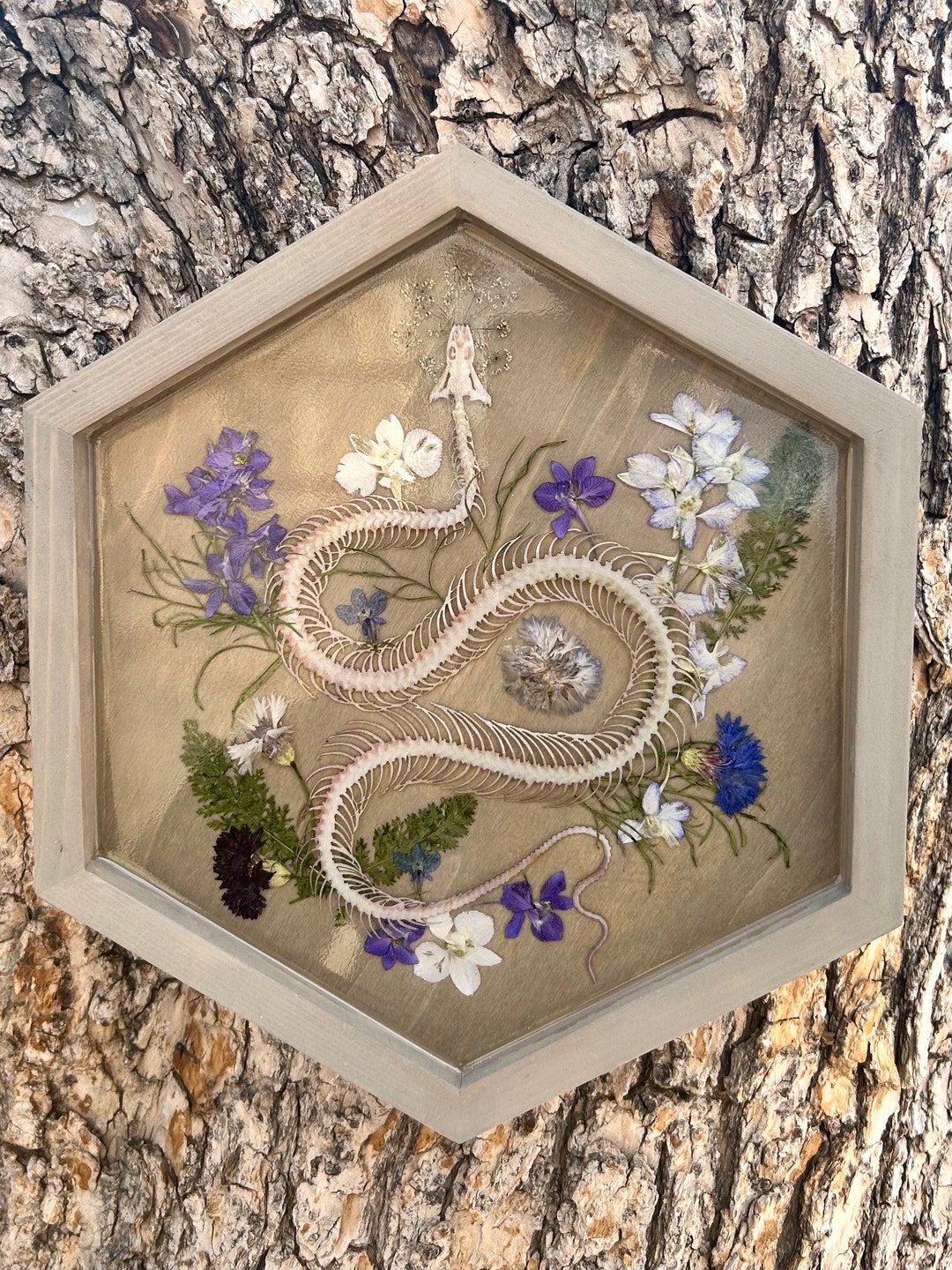Snake Skeleton Floral Hexagonal Wall Art Gothic Pressed Flowers Resin ...