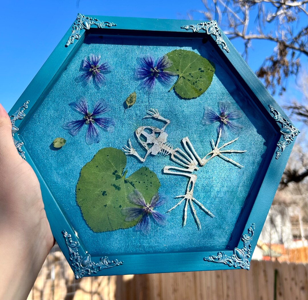 Floral Frog Skeleton Hexagonal Wall Art - Faux Taxidermy Resin Art - Etsy