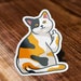 Cat Flipping off Sticker, Funny Meme Sticker, Cat Mom, Cat Sticker ...