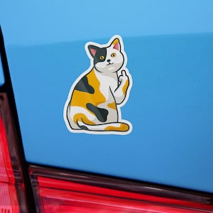Cat Flipping off Sticker, Funny Meme Sticker, Cat Mom, Cat Sticker ...