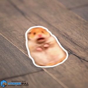 Scared Hamster Meme Sticker, Meme Sticker, Funny Sticker, Scared ...