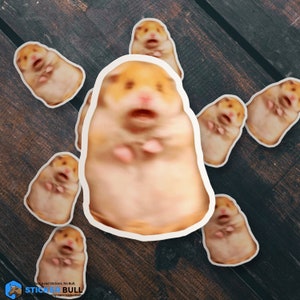 Scared Hamster Meme Sticker, Meme Sticker, Funny Sticker, Scared ...