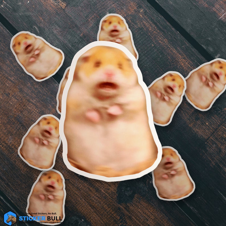 Scared Hamster Meme Sticker Meme Sticker Funny Sticker - Etsy