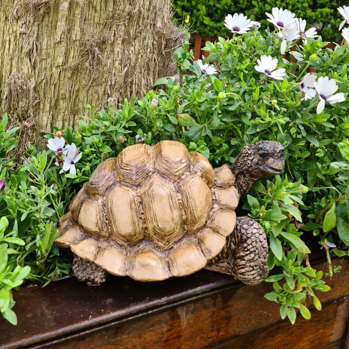 Turtle Statue Tortoise Figurine Outdoor Garden Decor - Etsy