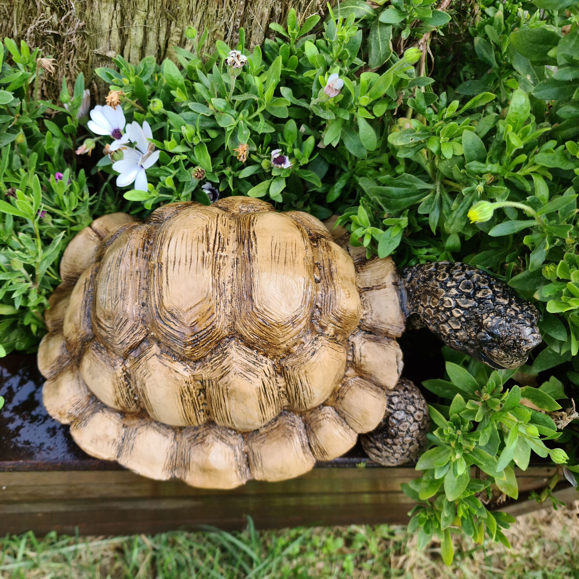 Turtle Statue Tortoise Figurine Outdoor Garden Decor - Etsy
