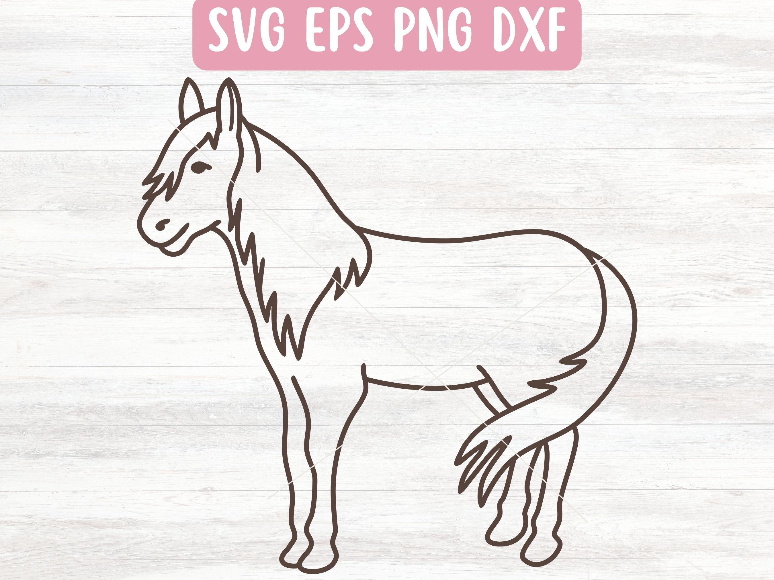 Horse Outline SVG for Cricut Horse Lover SVG Vector Equine - Etsy