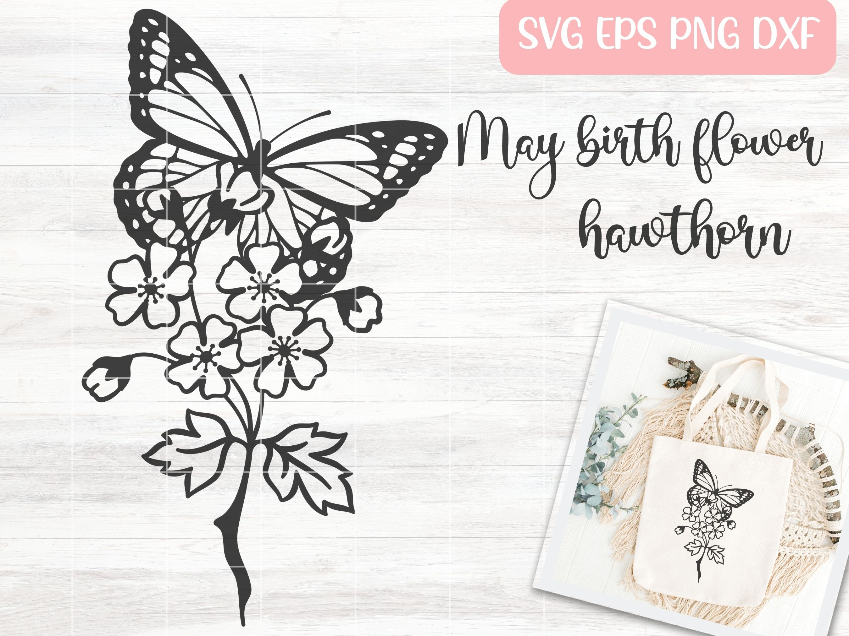 Butterfly SVG File for Cricut, Floral Monarch Butterfly SVG, Hawthorn ...