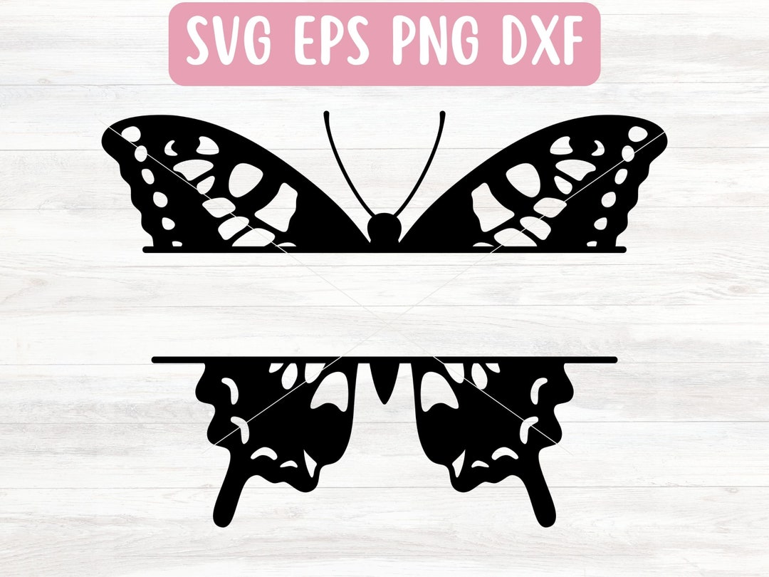 Split Butterfly SVG File for Cricut, Butterfly Name SVG for Silhouette ...