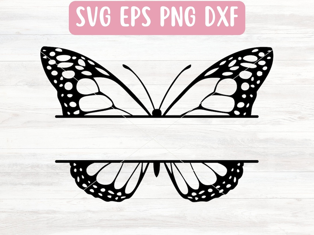 Split Butterfly SVG File for Cricut, Butterfly Name SVG for Silhouette ...
