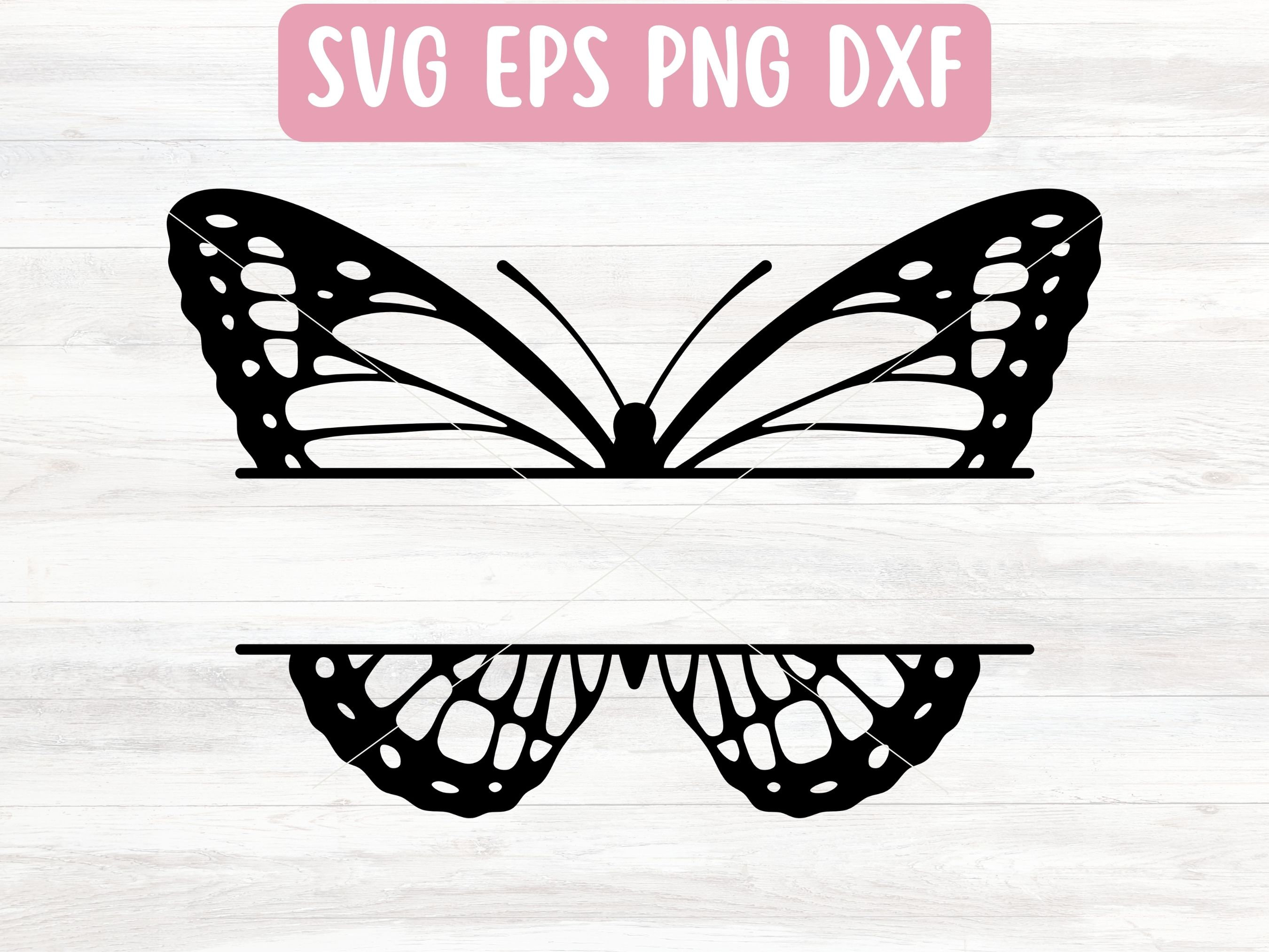 Split Butterfly SVG File for Cricut, Butterfly Name SVG for Silhouette ...