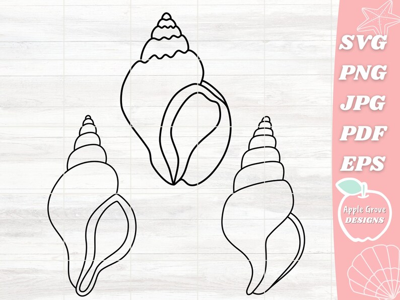 Seashell SVG Cut Files for Cricut Beach SVG Ocean SVG Shell - Etsy