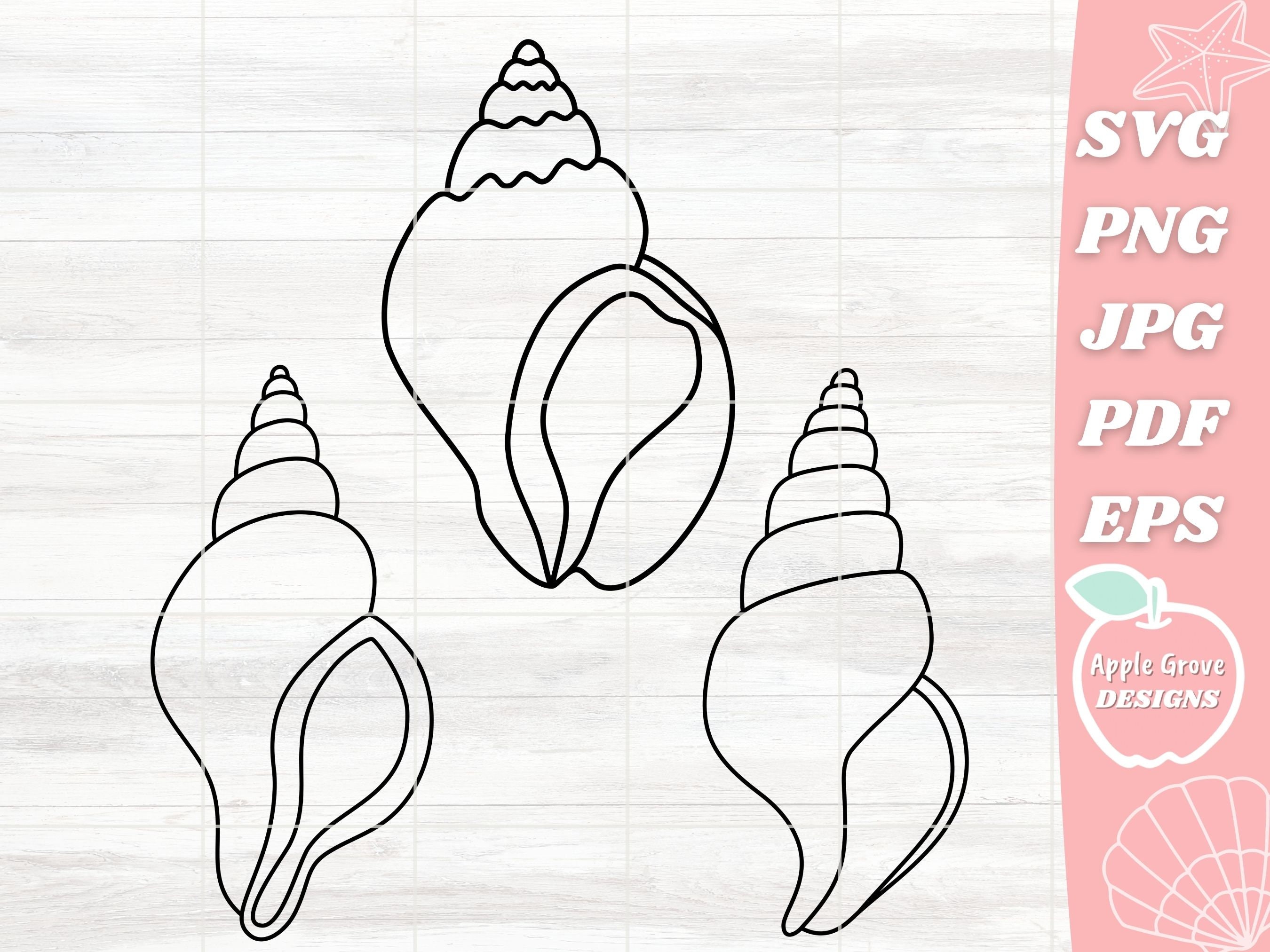 Seashell SVG Cut Files for Cricut Beach SVG Ocean SVG Shell - Etsy