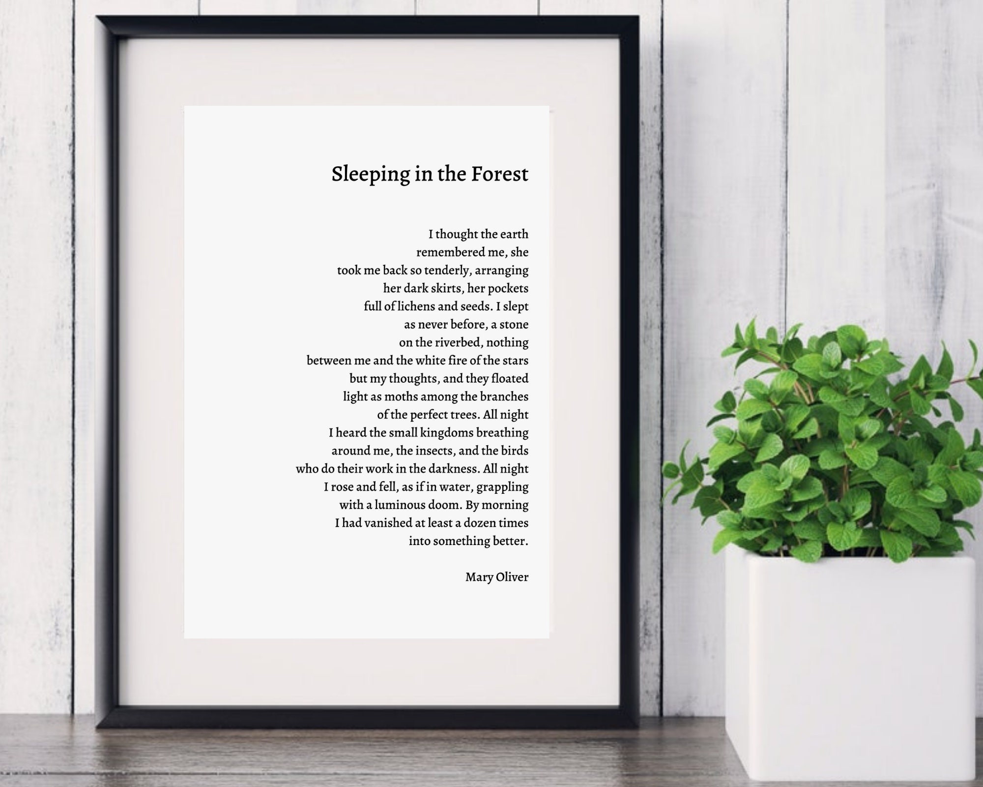 DIGITAL Print, Mary Oliver, Sleeping in the Forest, Wall Art, Mary ...