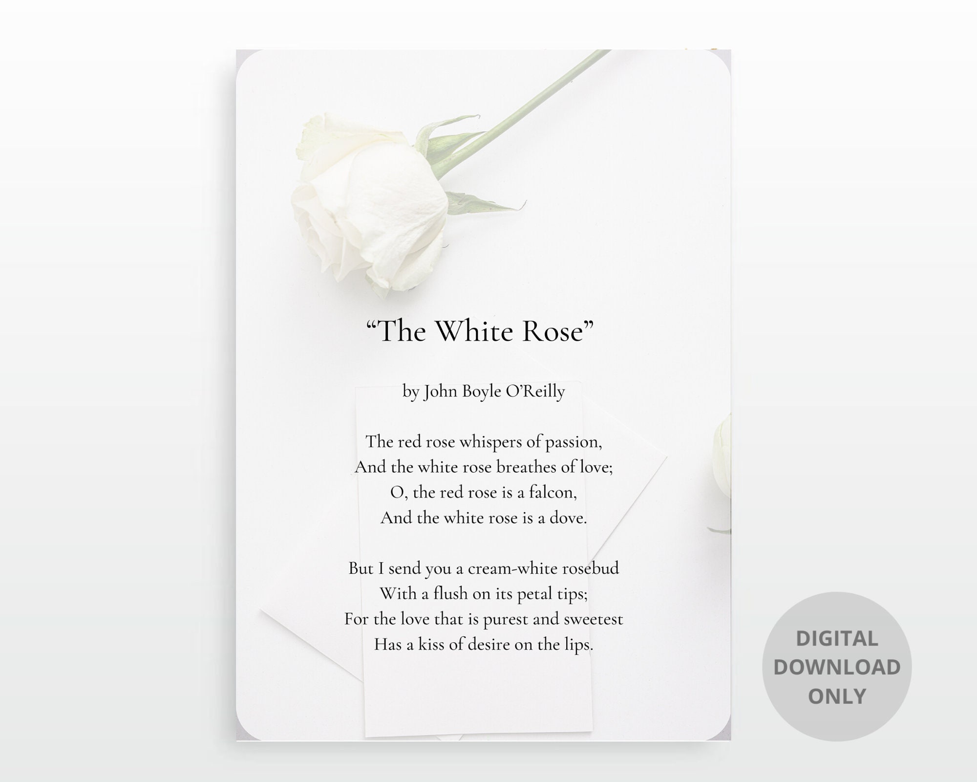 The White Rose Poem, Love Poem, Print, Love, Poem, for Her, Poetry, Art ...