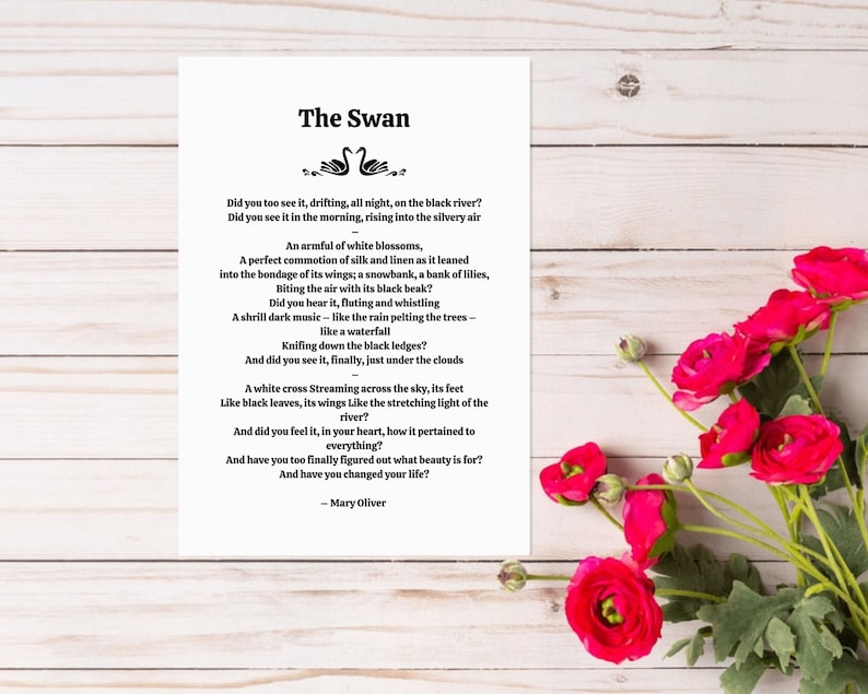 The Swan Mary Oliver the Swan Poem Poem Gift Wall Art - Etsy Australia