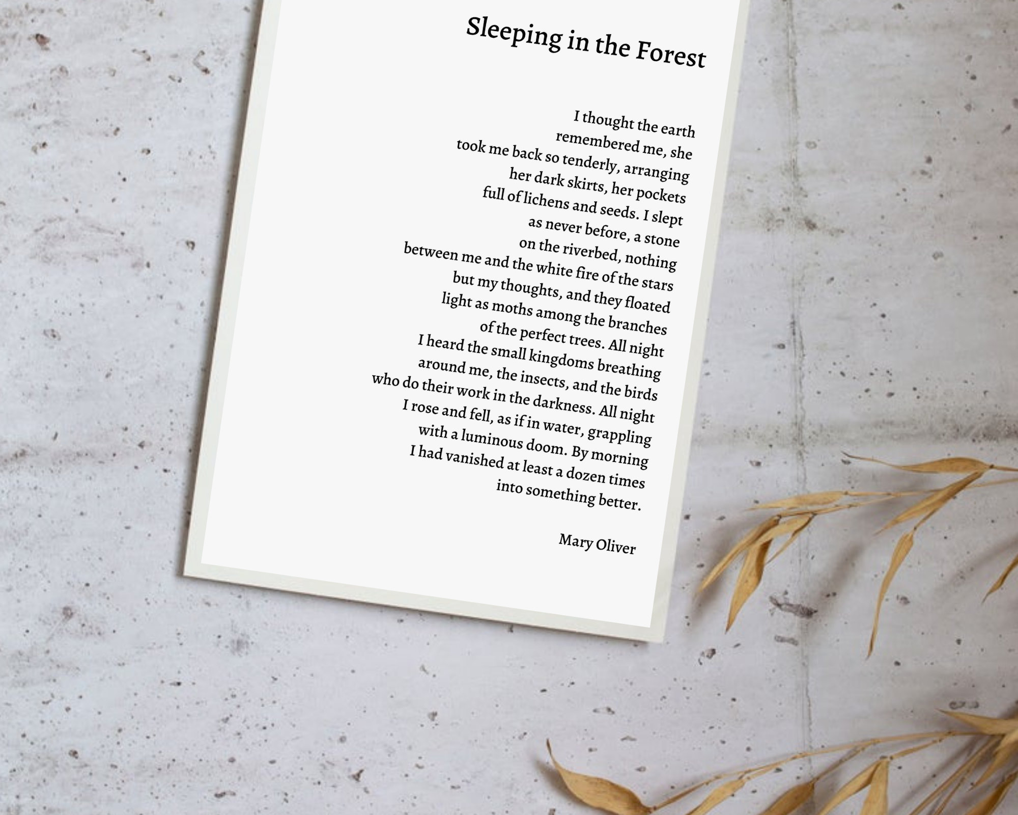 DIGITAL Print, Mary Oliver, Sleeping in the Forest, Wall Art, Mary ...