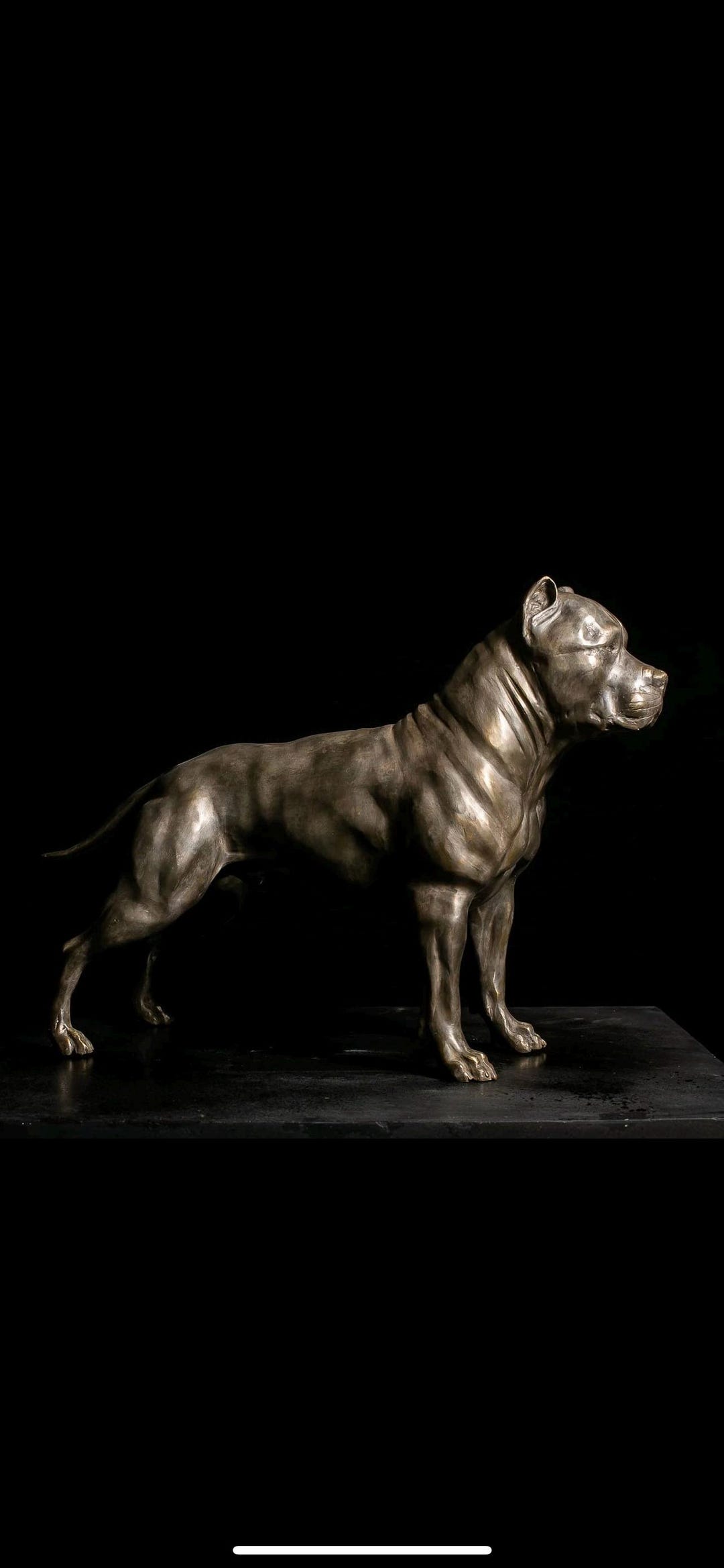 Bronze Pitbull Statue, American Staffordshire Terrier Sculpture ...