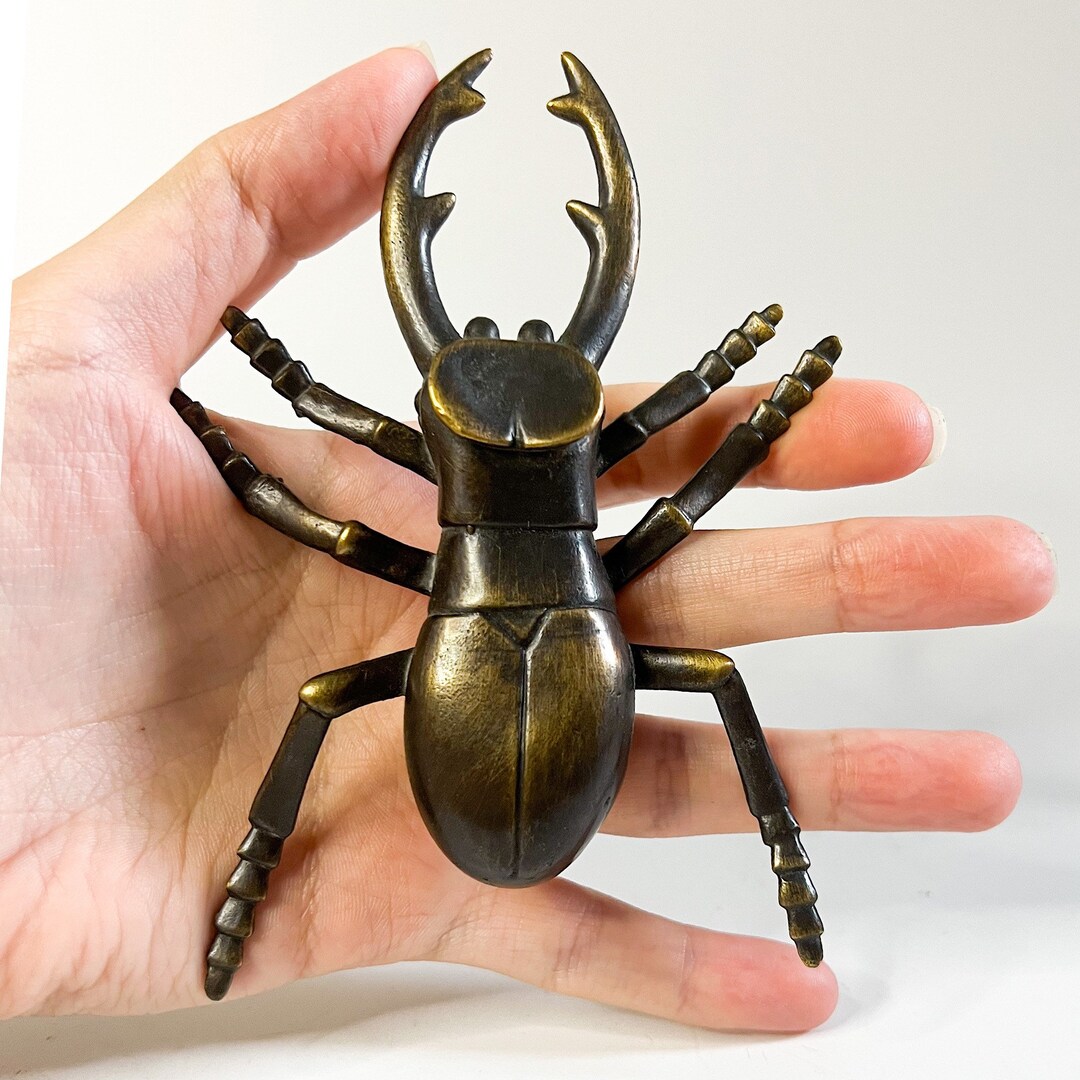 Bronze Stag Beetle Statue Insect Sculpture Bug Statue - Etsy