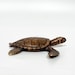 Sea Turtle Statue bronze Sea Animal Statue animal Figurine bronze Sea ...