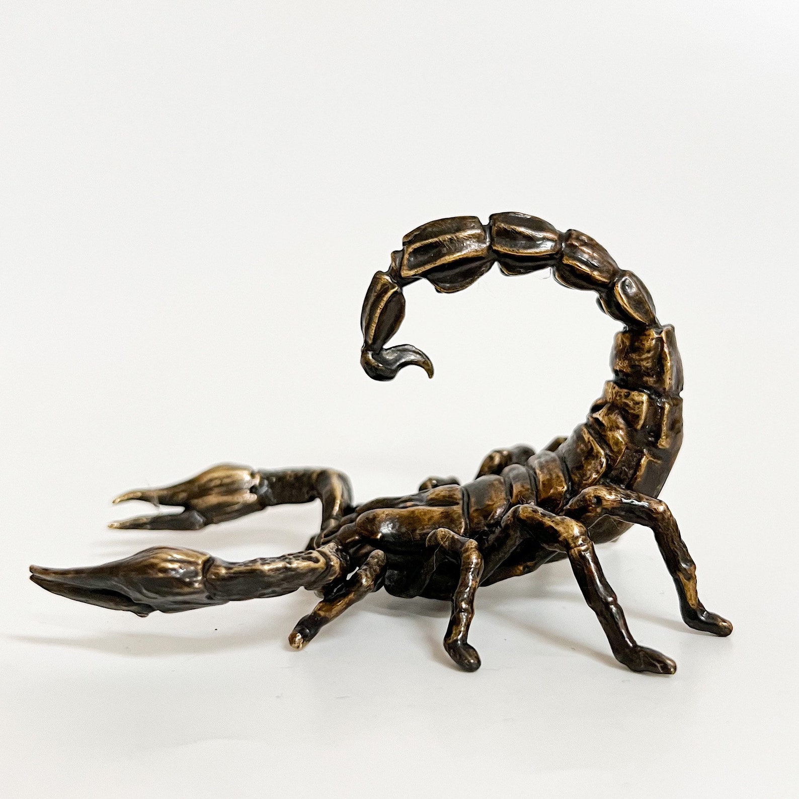 Bronze Scorpion Statue Scorpion Figure scorpion Sculpture Arachnida ...