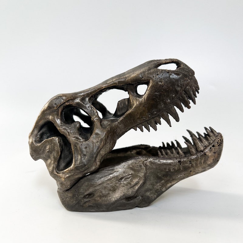 T Rex Head Etsy