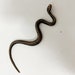 Bronze Snake Statue, Viper Snake Figure, Snake Sculpture, Reptile ...