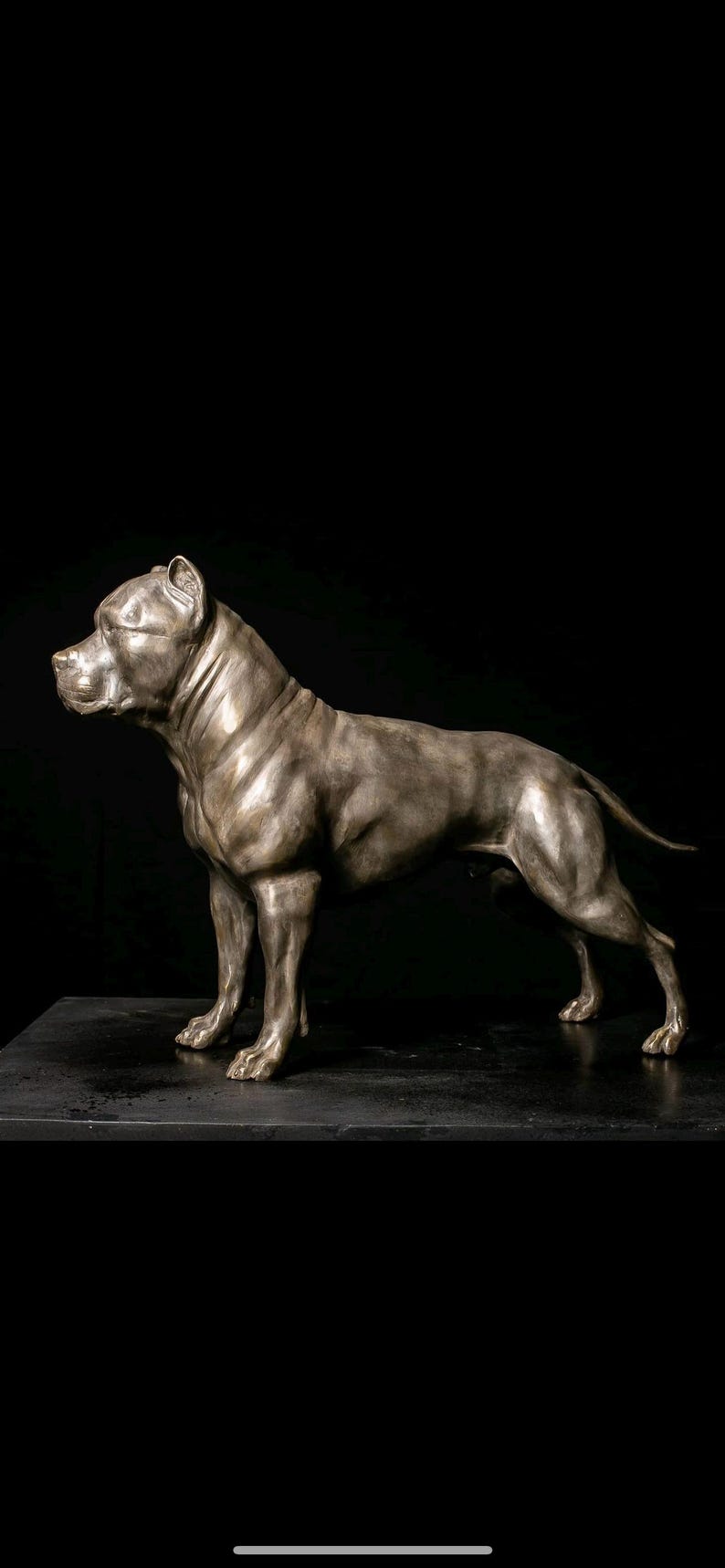 Bronze Pitbull Statue, American Staffordshire Terrier Sculpture ...