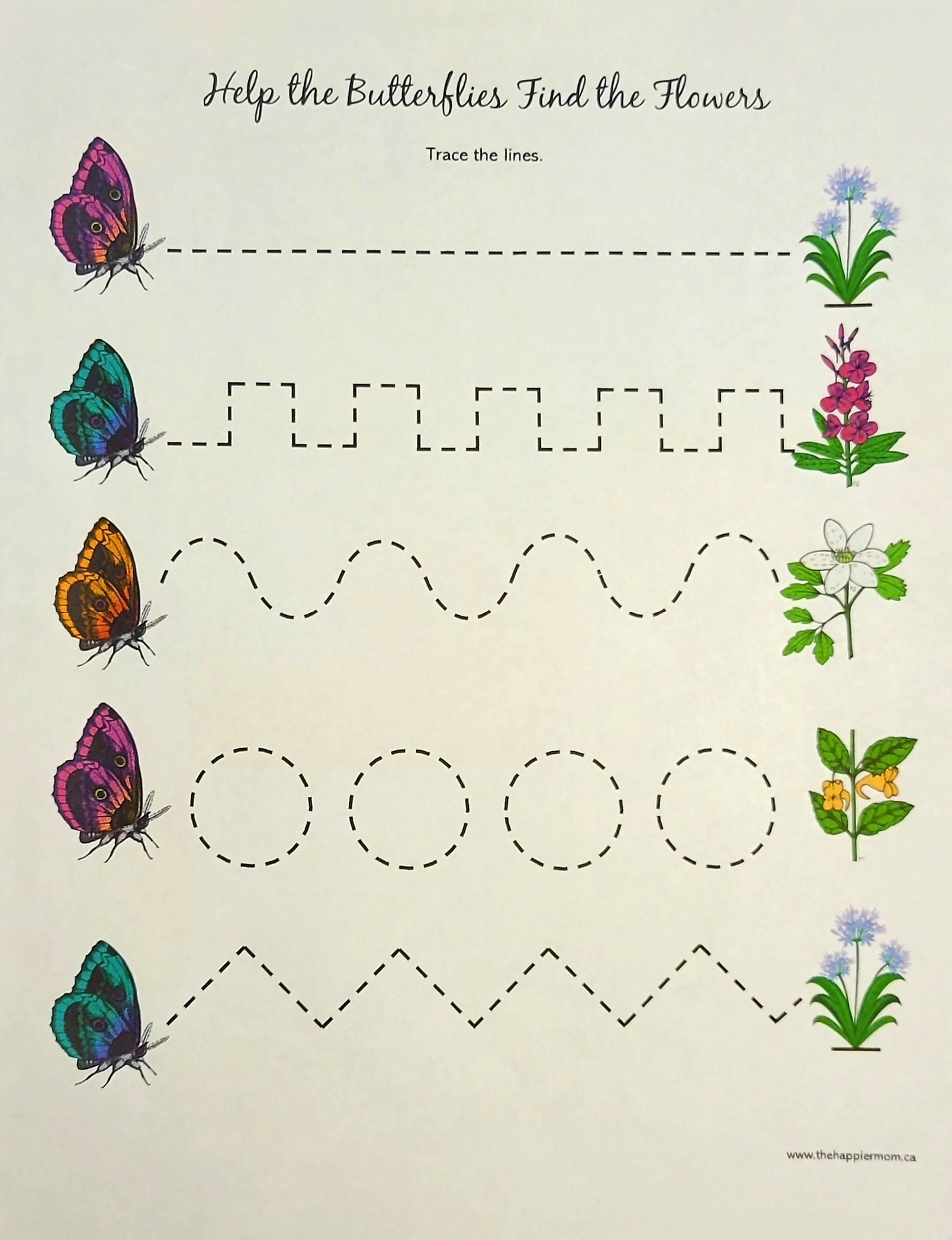 Butterfly Line Tracing Trace the Lines Worksheet Prewriting | Etsy