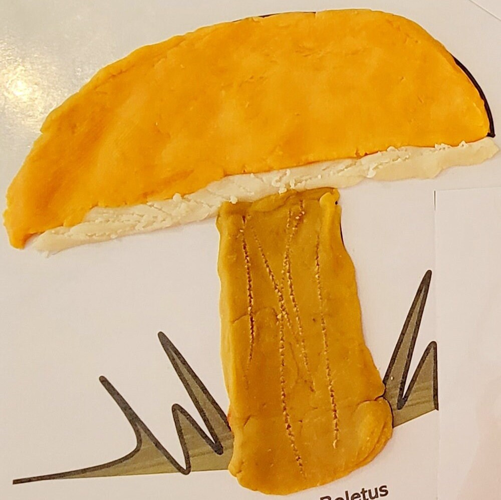 Mushroom Play Dough Mats Printable Pages for Kids Mushroom - Etsy