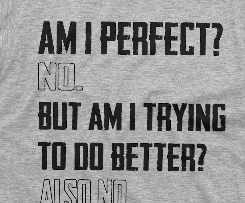 Funny Am I Perfect T-shirt Hilarious Mens Womens Tee Shirt Sarcastic ...