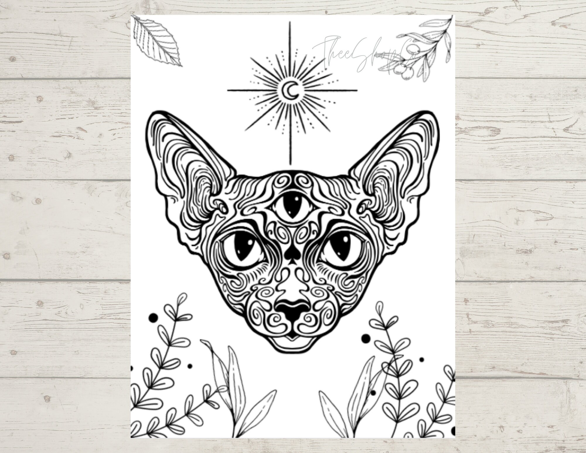 Sphynx Cat Coloring Page/ Digital Downloads/ Printable/ Digital Art ...